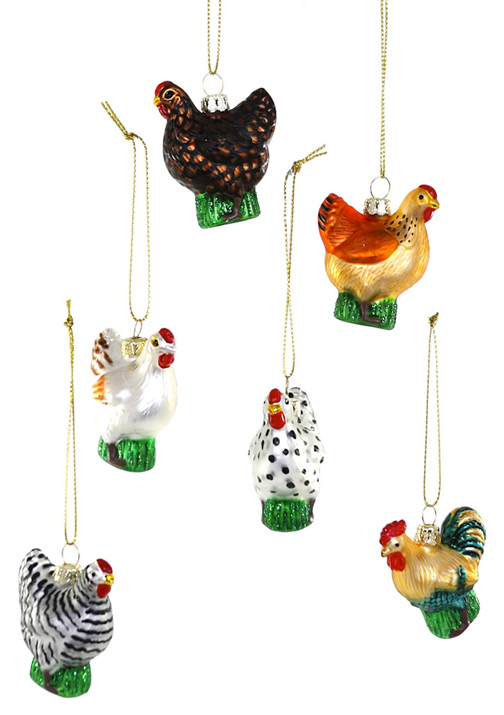 Farmstead Chickens Box Set Nova68