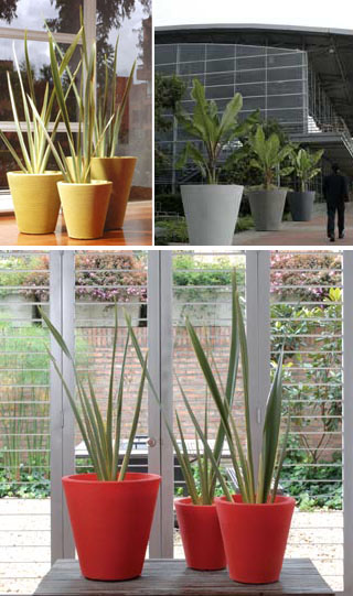 Modern Planters: Madison Planter 48 inch Height x 48 inch Width: NOVA68.com